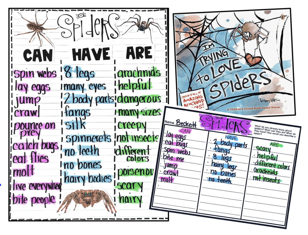 SPIDERS Lesson Plans and Activities for October and Halloween | Hollie ...