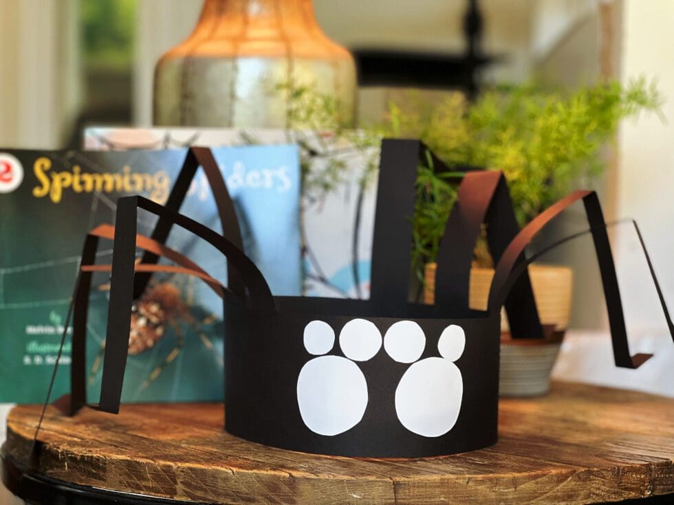 SPIDERS Lesson Plans and Activities for October and Halloween | Hollie ...