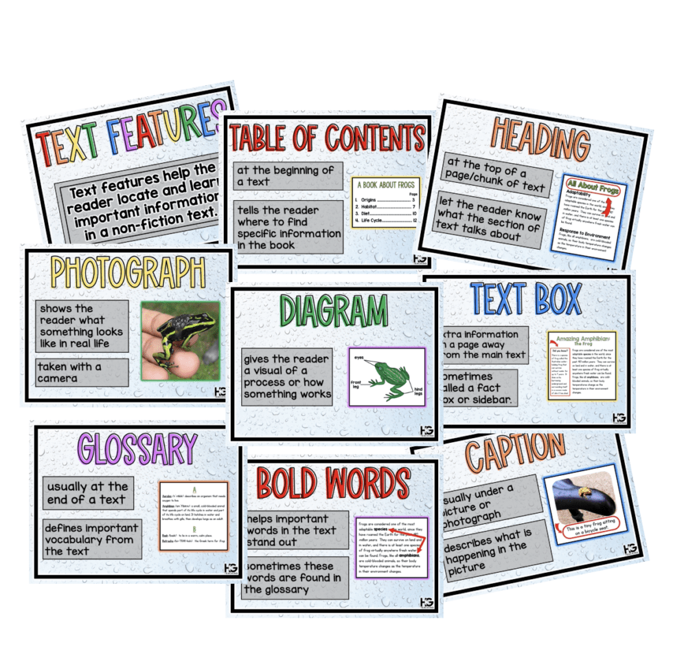 All About Rainbows: An Educational Unit for 1st and 2nd Grade | Hollie ...